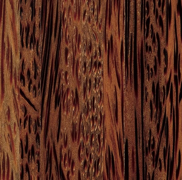 Durapalm: revestimiento a partir de madera de coco y caña de azúcar